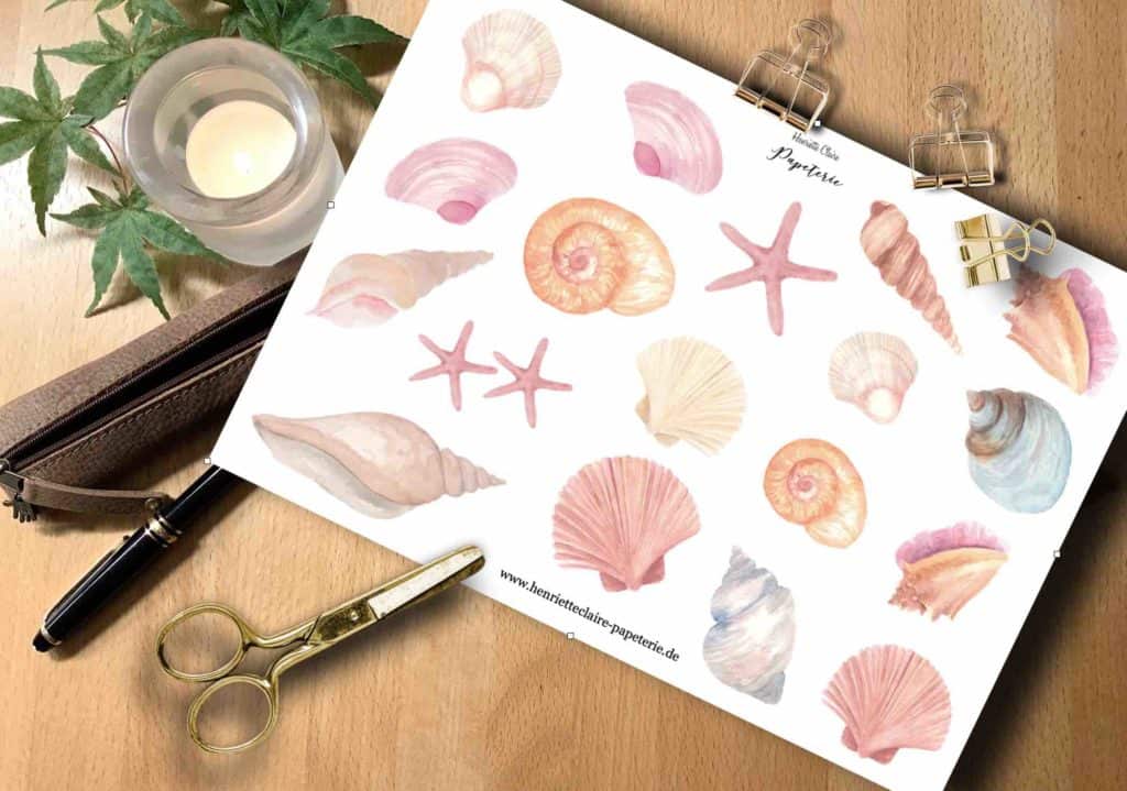 Aufkleber Muscheln Aquarell in rosé handgemalt